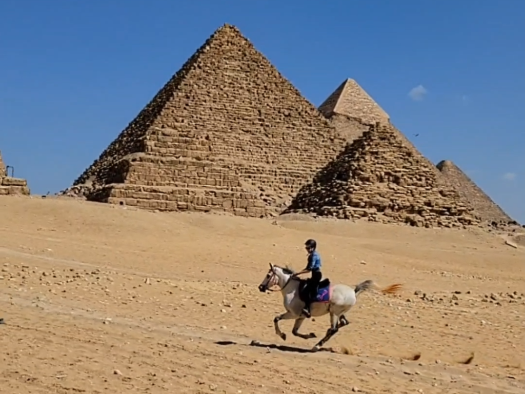 Egyptian Desert Escape - Horses & Hieroglyphs
