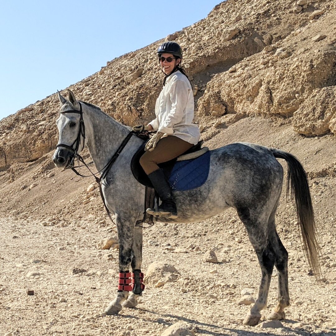 Our Horses - Horses & Hieroglyphs